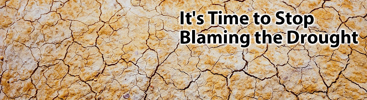 It's Time to Stop Blaming the Drought Smith's Gardentown