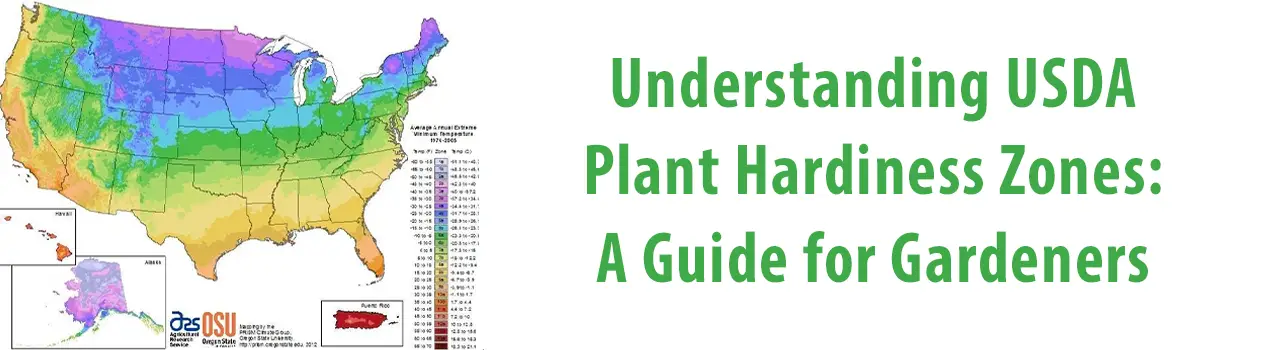 Understanding USDA Plant Hardiness Zones: A Guide for Gardeners Smith's ...